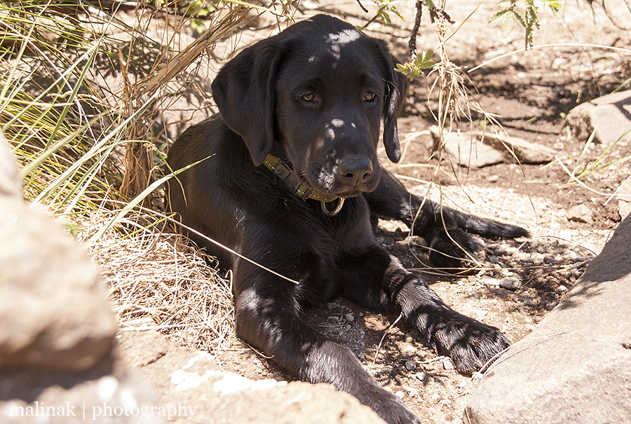 :: qiloane falls :: – global adventure seekers